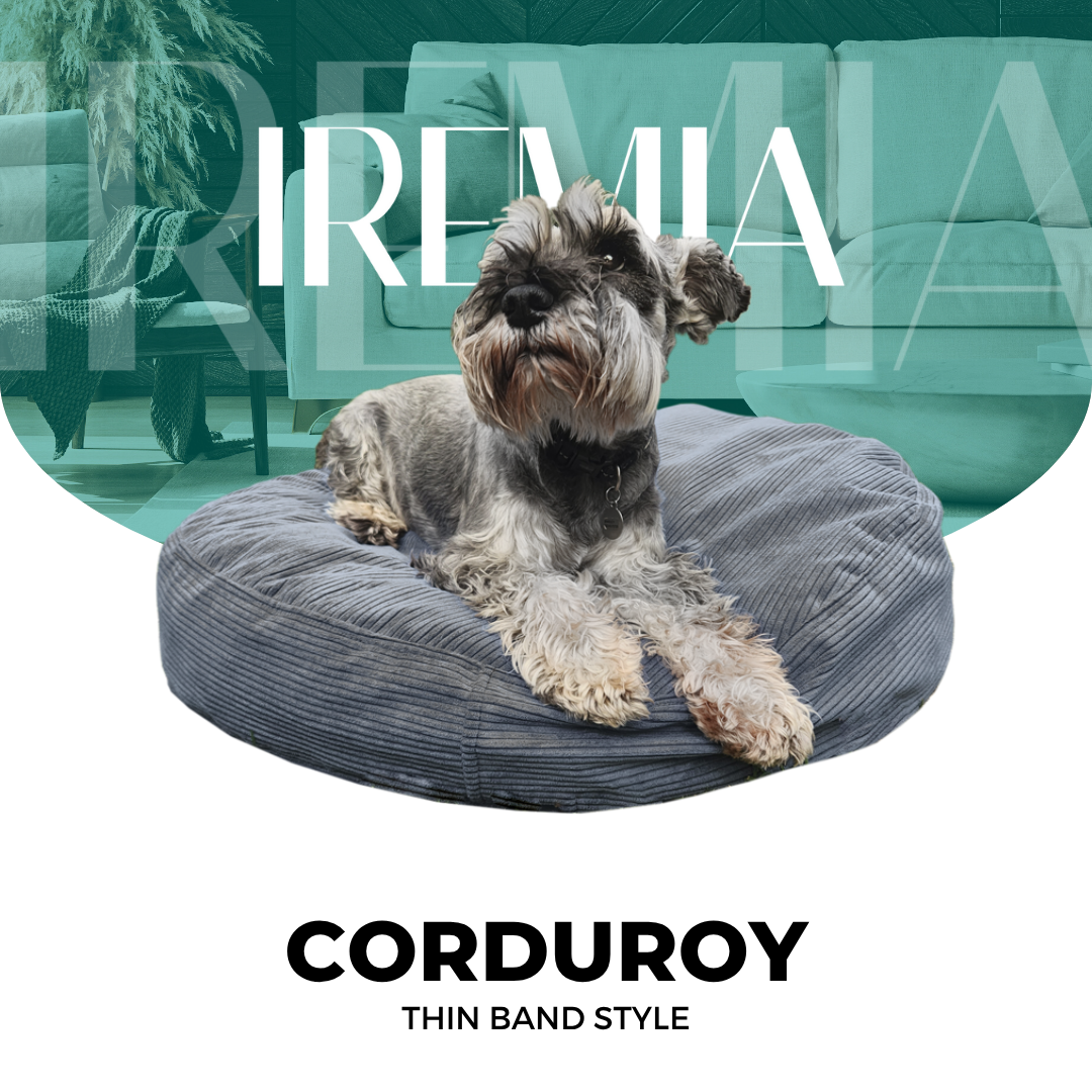 Corduroy IREMIA Dog Sofa From Pets Planet - South Africa’s No.1 ePet ...