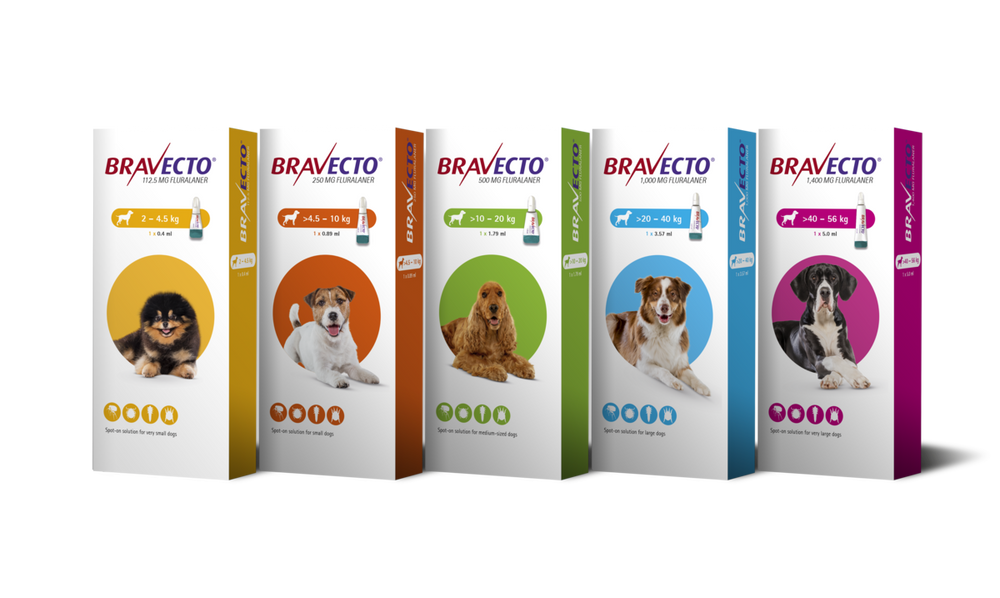 Bravecto From Pets Planet - South Africa’s No.1 ePet Store for premium ...