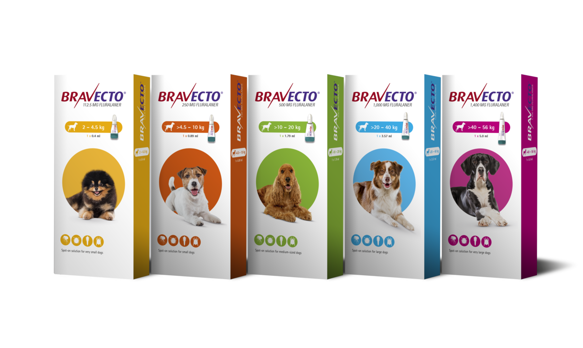 Bravecto From Pets Planet - South Africa’s No.1 ePet Store for premium ...