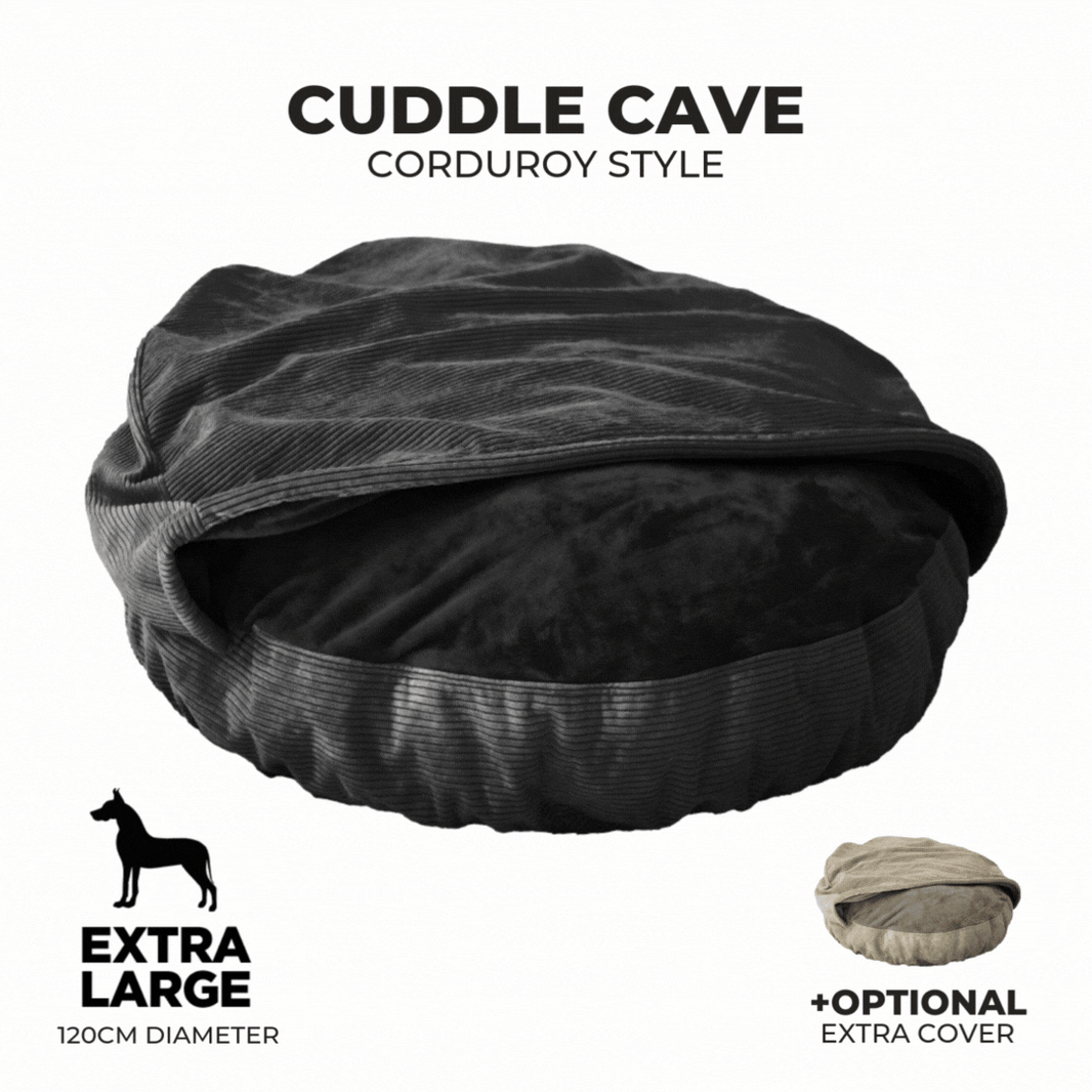 Corduroy IREMIA Cuddle Cave From Pets Planet - South Africa’s No.1 ePet Store for premium pet ...