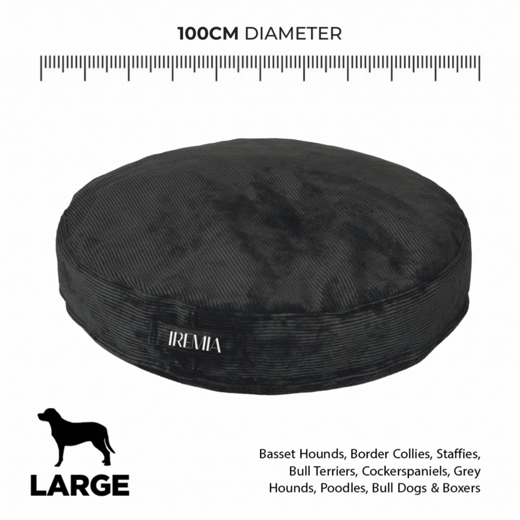 Large Dog Breeds From Pets Planet - South Africa’s No.1 ePet Store for ...