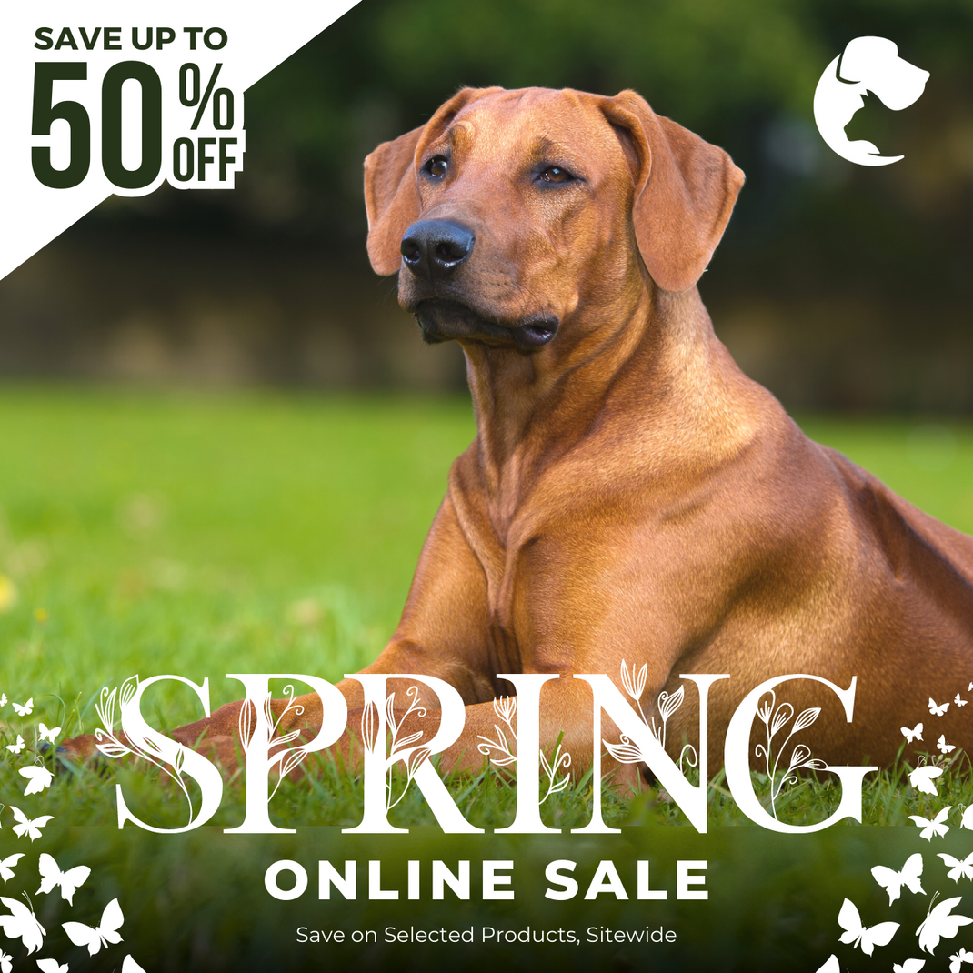 Pets Planet | South Africa's Best Pet Store for Premium Pet Products ...
