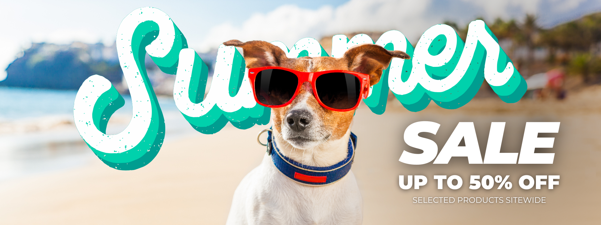 Pets Planet | South Africa's Best Pet Store for Premium Pet Products ...