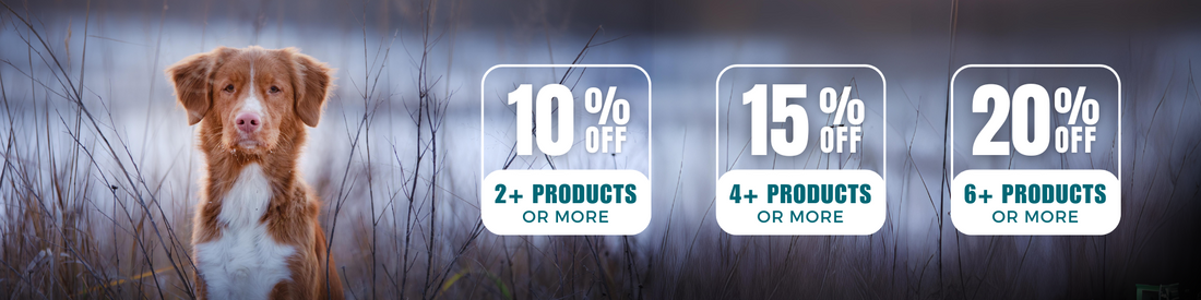FLASH SALE – Pets Planet SA